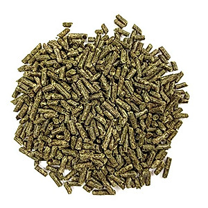 Oxbow Essentials Young Rabbit Food, All Natural Rabbit Pellets, High Energy & Calcium, Made in the USA, All Natural Vitamins & Minerals, Veterinarian Recommended, 5 lb