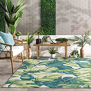 nuLOOM Lisa Floral Indoor/Outdoor Area Rug, 9x11, Multi