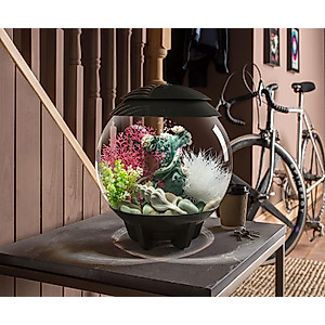 biOrb HALO 15 Aquarium with MCR Lighting - 4 gallon, Grey (45653)