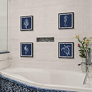 Sea life Art Framed Artwork: Coastal Pictures Ocean Theme Square Collection Set of 4 Wall Decor Set Prints for Bedroom (Multi-Style)
