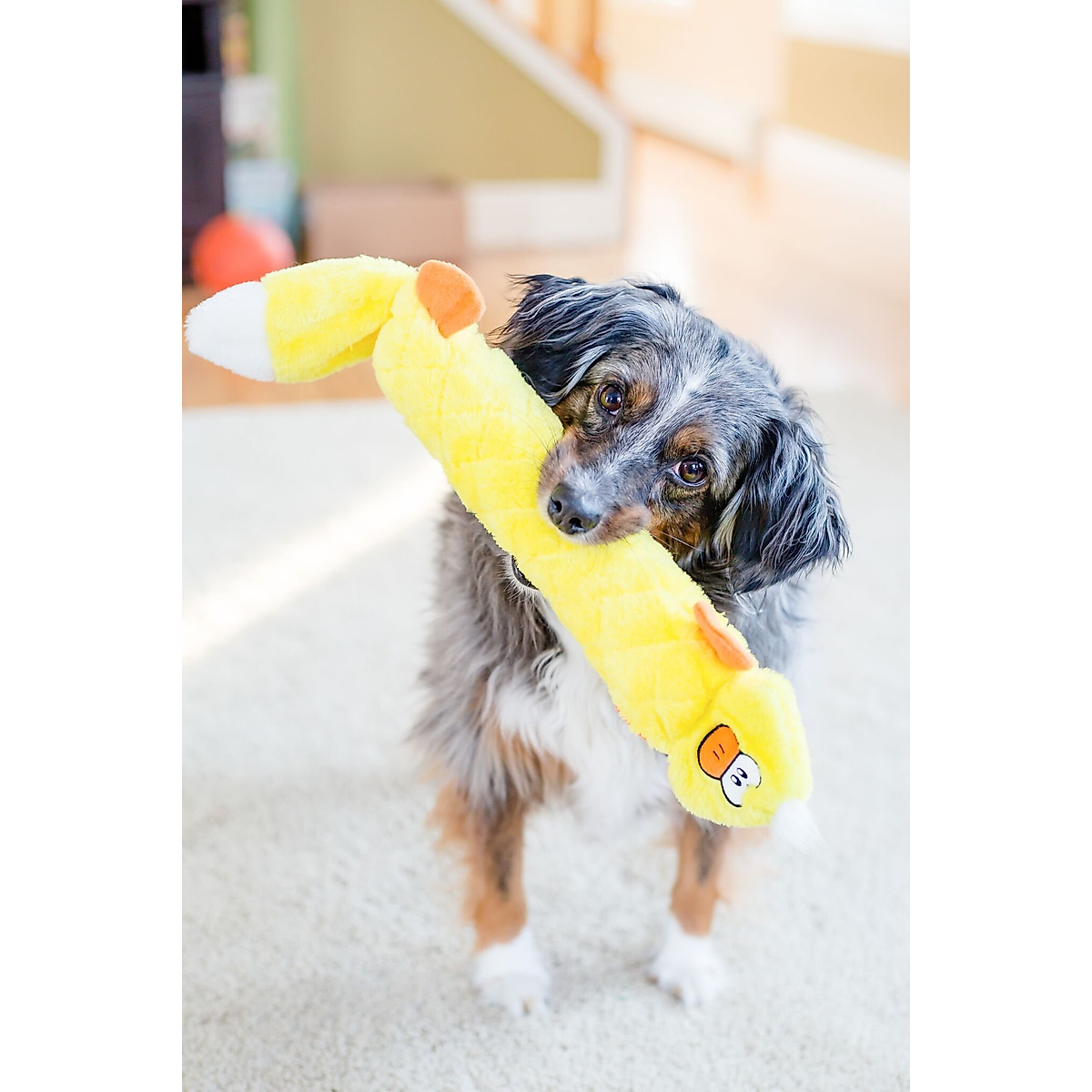 ZippyPaws Jigglerz - Dog Squeaky Toys to Keep Them Busy, Funny Food Plush for Small, Medium, & Large Dogs, Cute Stuffed Puppy Toy, Pet Product, Gift for All Breeds, Interactive Squeaker - Duck