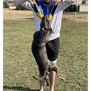 K9BULLS Dog Tug Toy for Interactive Tug of War - Tear Resistant French Linen - Super Durable Yet Soft for Dog's Teeth. Perect for :Tug of War, Schutzhund,Agility,Ring Sport,PoliceK9,and More. -Green-