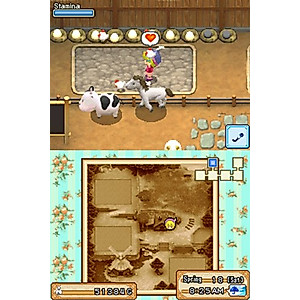 Harvest Moon: Grand Bazaar - Nintendo DS