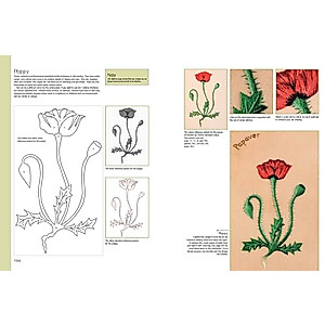 The Royal School of Needlework Book of Embroidery: A Guide To Essential Stitches, Techniques And Projects