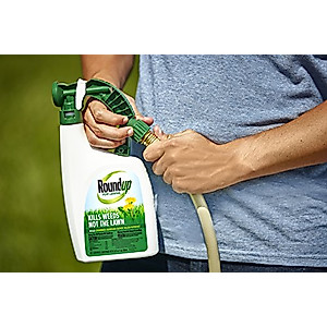 Roundup For Lawns3 Ready-To-Spray (Northern), 32 oz. - Lawn Safe Weed Killer for Northern Lawns, Kills Crabgrass, Dandelion, Clover and Yellow Nutsedge - Kills Weeds, Not the Lawn