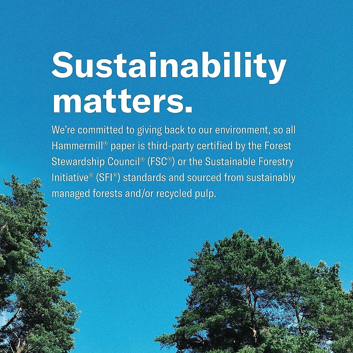 Hammermill Printer Paper, Premium Color 28 lb Copy Paper, 8.5 x 11 - 5 Ream (2,500 Sheets) - 100 Bright, Made in the USA, 102450C