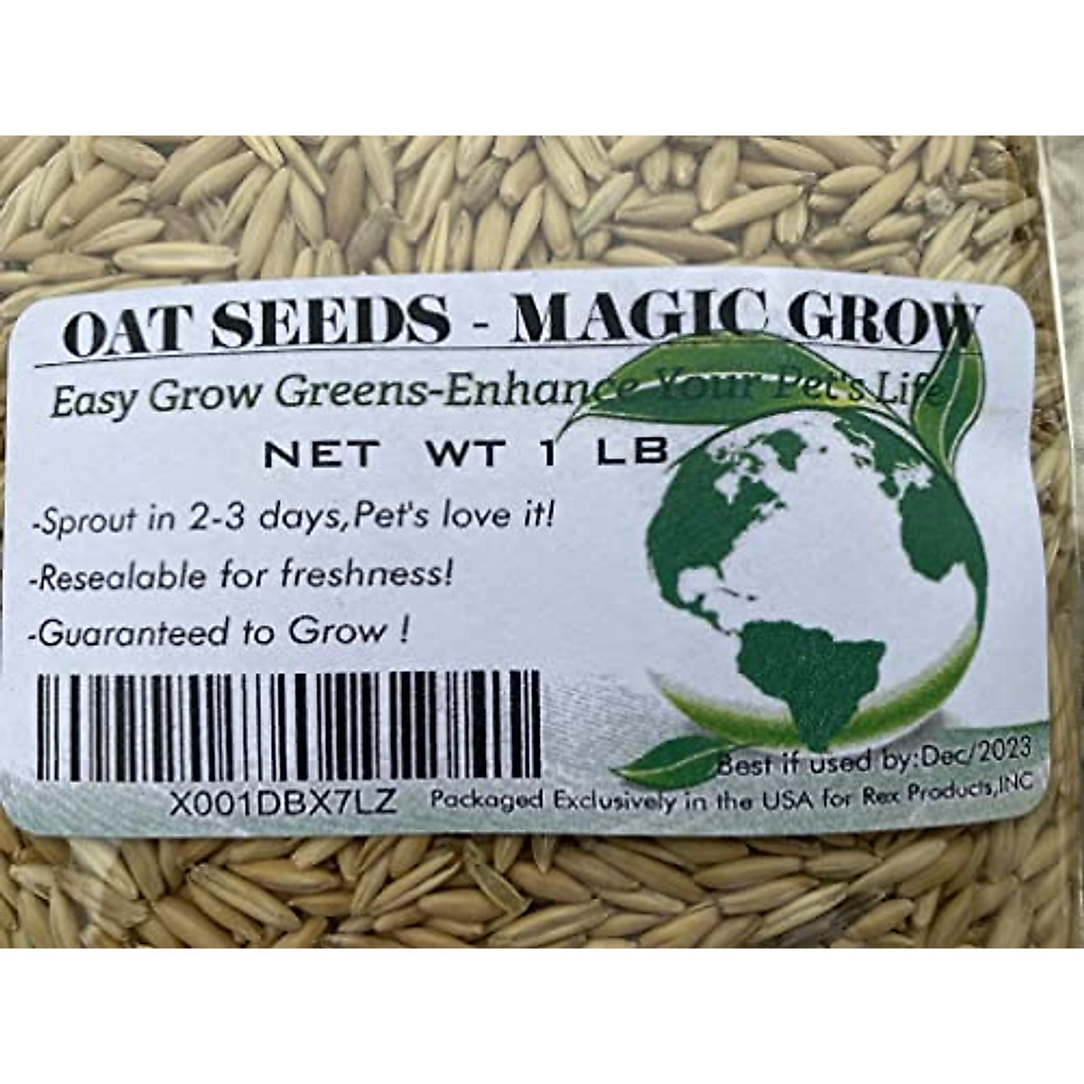 Cat Grass(Sweet Oats for Cats) 1LB (3000 + Seeds) -Easy Grow Greens-Great Value!