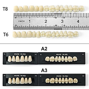Dental Acrylic Resin Denture False Teeth A3, T6 Synthetic Polymer Resin Fake Teeth for Replacement, Halloween, DIY (28 Pcs/Set)
