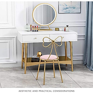 DUANY STORE Makeup Vanity Girl Chairs Stool for Bedroom with Bow Knot Backrest,Side Table Seat Dressing Chair with Golden Metal Leg,Velvet Cushion for Girl Daughter Room