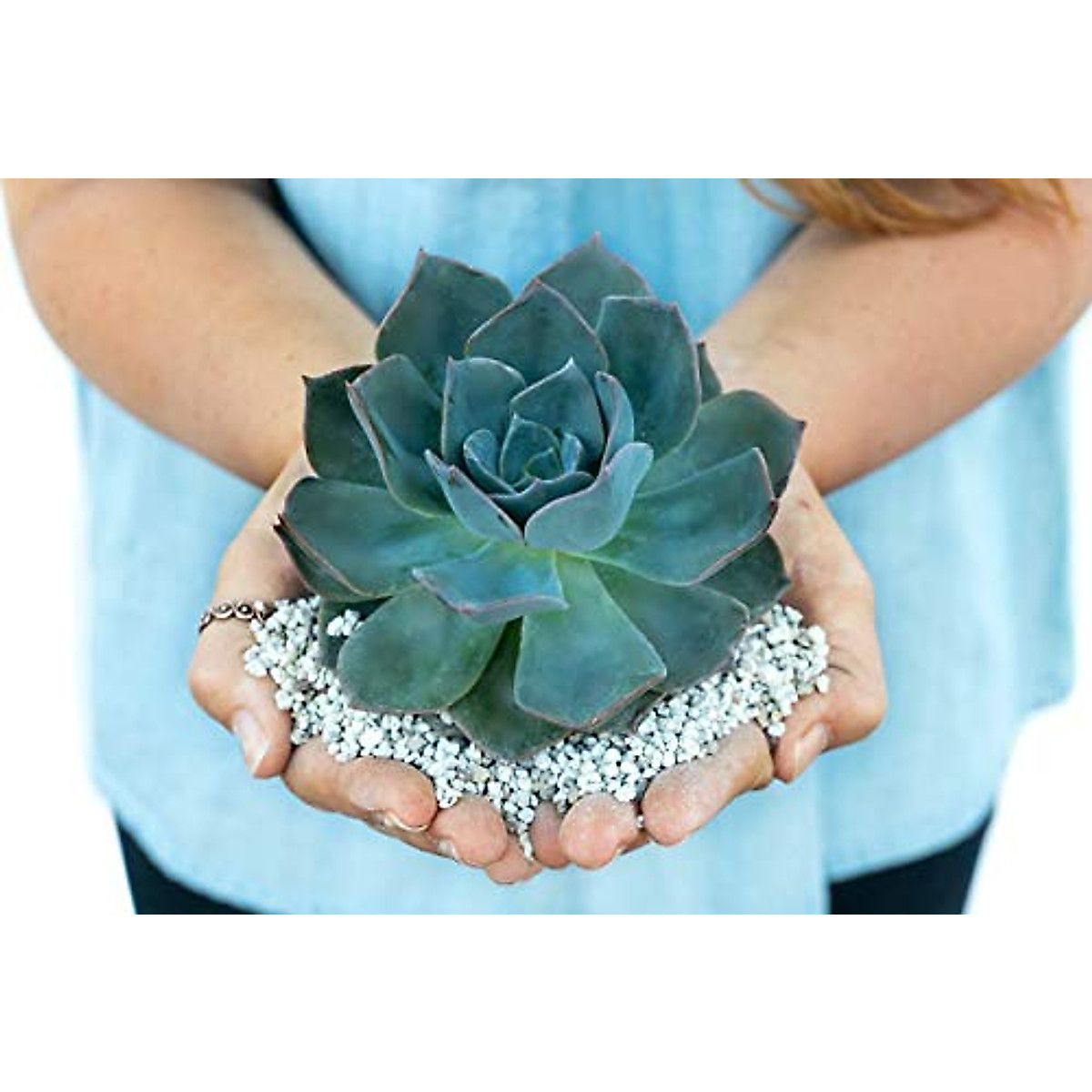 3 Gallon Bag Garden Pumice (1/8" Stone) - 12lbs