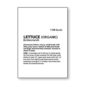 Burpee Buttercrunch Hybrid (Organic) Lettuce Seeds 1100 seeds