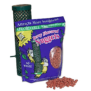 C&S Berry Flavored Nuggets, 6 Pack