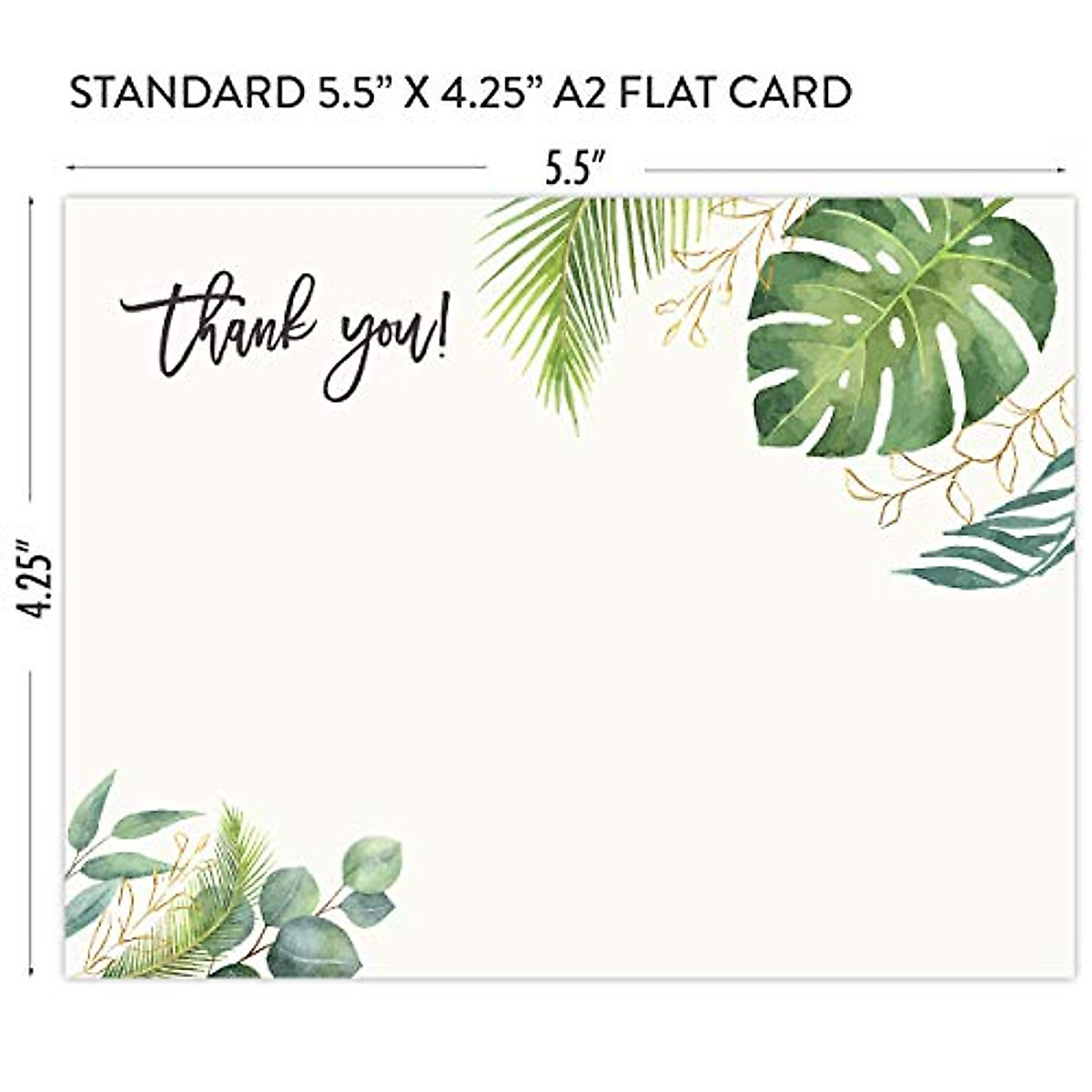 Koko Paper Co Tropical Palm Leaves Thank You Cards | 25 Flat Note Cards and Envelopes | Printed on Heavy Card Stock.