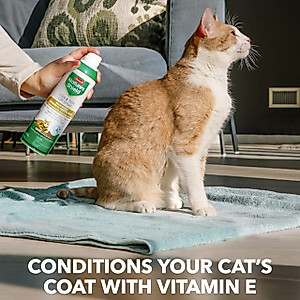 Hartz Nature’s Shield Flea & Tick Spray Treatment for Cats, Natural and Effective Flea & Tick Prevention and Protection for Dogs with Cedarwood and Lemongrass Oil, 14 Ounces