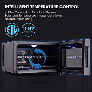JINJUNYE 8 Bottle Wine Cooler Refrigerator, Wine Fridge Small, Countertop Wine Cooler with Digital Temperature Control, 46-64℉ Mini Freestanding Wine Cellars Glass Door, Gift for Wine Lover