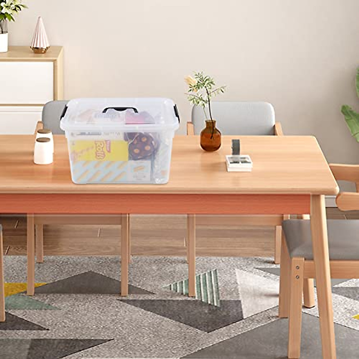 Bblina 10 Liters Clear Storage Boxes, Plastic Organizer Tote Bins Set of 6