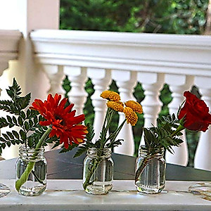 Kate Aspen Glass Set, Favors, Party Decor, Arts and Crafts, Set of 12 Mini Mason Jars, 12 Count