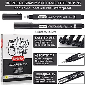PANDAFLY Calligraphy Pens, 10 Size Calligraphy Pens for Writing, Brush Pens Calligraphy Set for Beginners, Hand Lettering Pens, Brush Markers Set, Black Ink Drawing Pens
