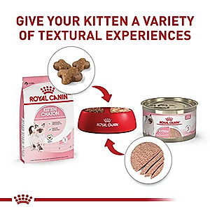 Royal Canin Feline Health Nutrition Kitten Dry Cat Food, 14 lb Bag