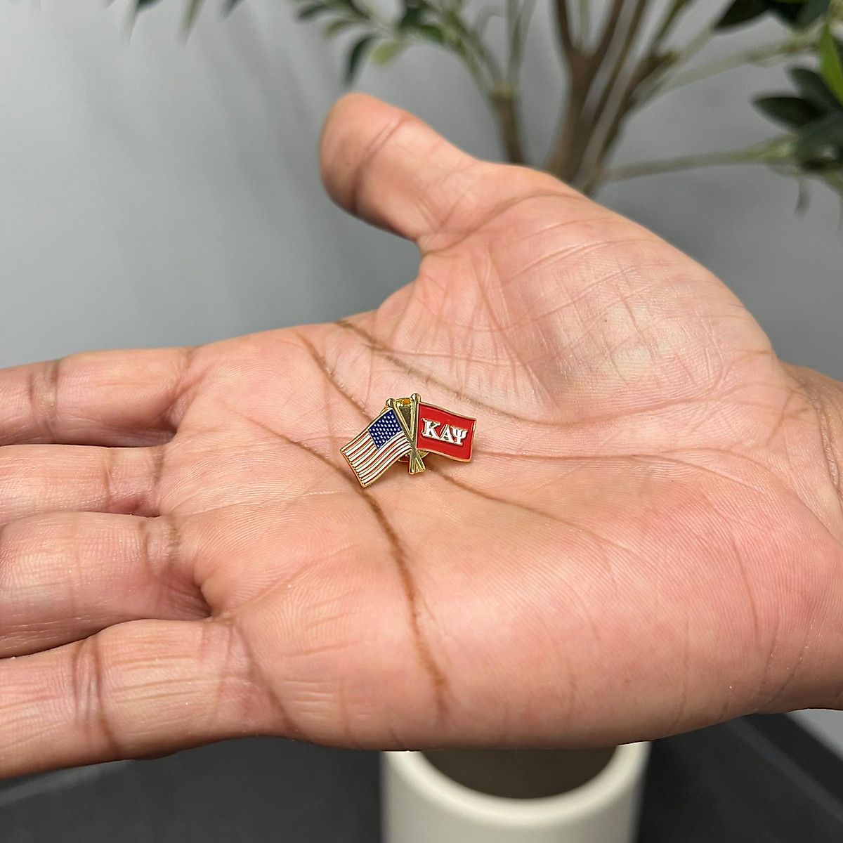 Desert Cactus Kappa Alpha Psi Lapel Pin USA Greek Letter Fraternity Enamel Nupes (Double Flag Pin)