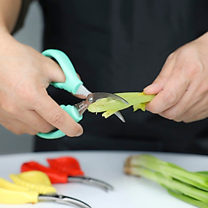 Endurance Kitchen shears Seafood Scissors for Shrimp crab lobster snow crab 6.1 Inch Stainless Steel