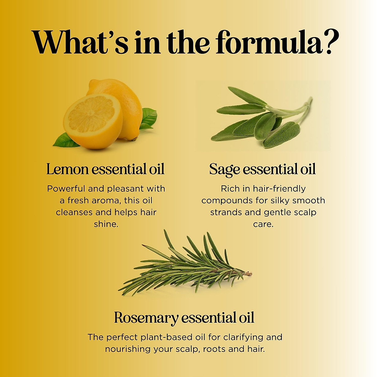 Lemon Sage Shampoo for Oily Hair - Sulfate Free Clarifying Shampoo for Build Up with Lemon Sage Keratin and Tea Tree Oil for Hair and Scalp Care - Deep Cleansing Rosemary Shampoo for Men and Women