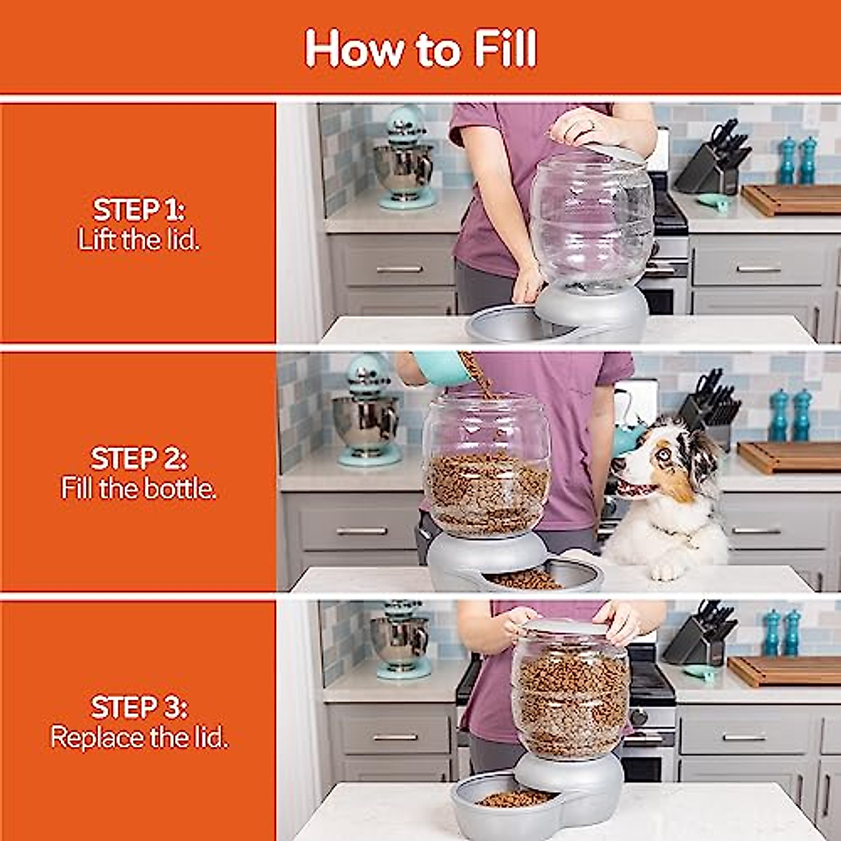 Petmate 24528 Replendish Feeder Automatic Cat and Dog Feeder, Pearl Peacock Blue, 10 LB