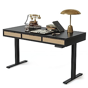 FEZIBO 55X26 Inches Boho Style Height Adjustable Electric Standing Desk with 3 Rattan Drawers, Stand up Desk with Large Storage Space, White（2 Packages）