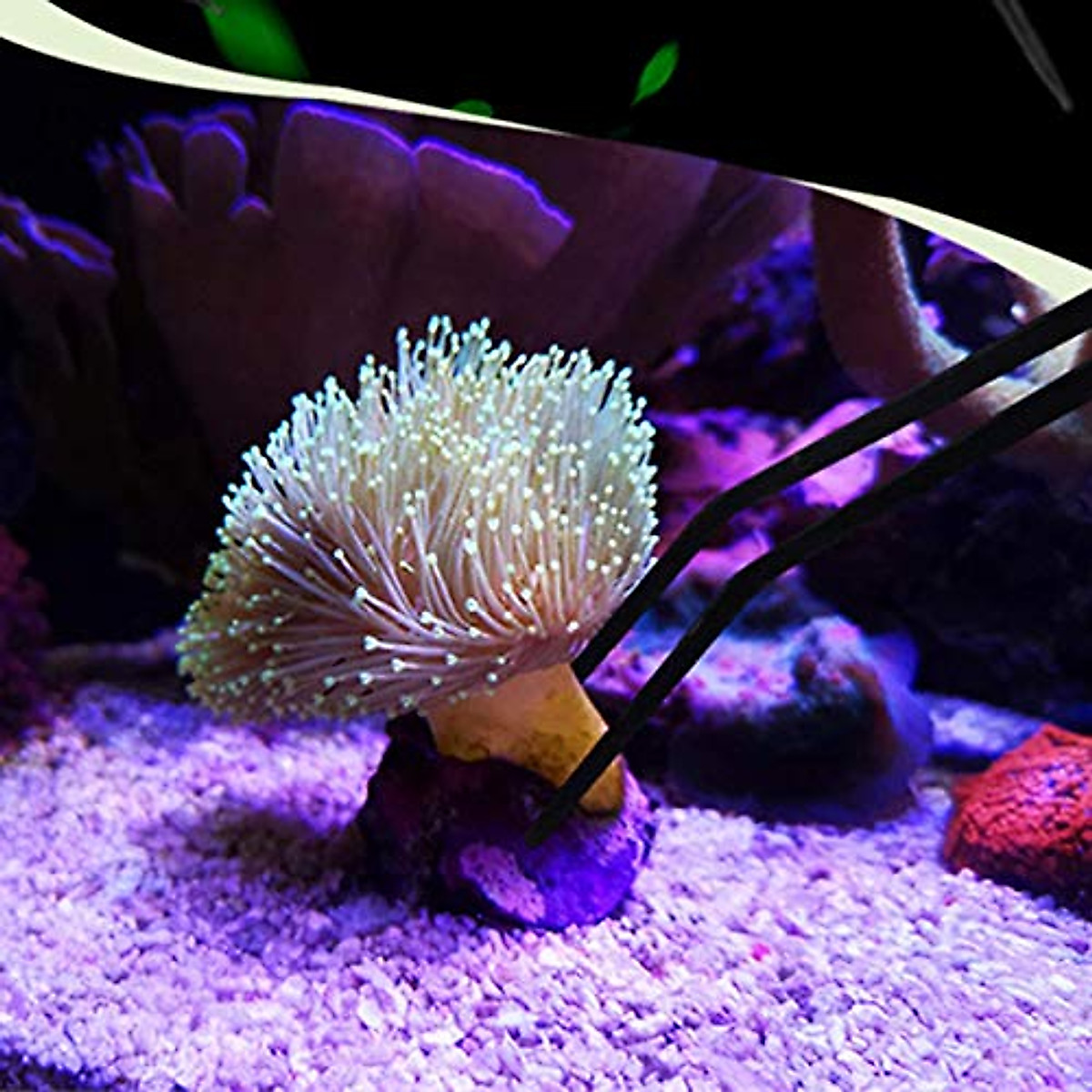 15 inch Aquarium Forceps ，Stainless Steel Curved Tweezers, with Anti-Carbonization and Carbonization Coating, Anti-Rust and Long Reptiles, for Aquatic Plants, Spiders, Snakes and Lizards, Black