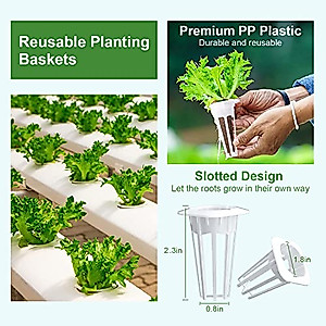 QYO Seed Pods kit for Hydroponics Garden Kit with 12pcs Growth Sponges,12pcs Basket Kit, A&B Solid Nutrient (Seeds not Included)