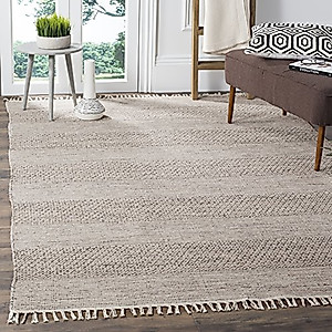 SAFAVIEH Montauk Collection 8' x 10' Ivory/Steel Grey MTK330M Handmade Flatweave Boho Farmhouse Cotton Tassel Fringe Living Room Dining Bedroom Area Rug
