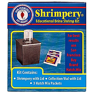 San Francisco Bay Brand Shrimpery Brine Shrimp Kit for Hatching Baby Brine Shrimp