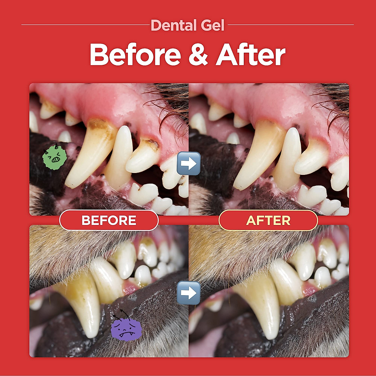 JAYU PET Dental Gel - Dog Cat Toothpaste, Removing Plaque and Tartar, Teeth Cleaning & Breath Freshener, Puppy Kitten Dental Care with Vet Approved (2.82oz. 80g)