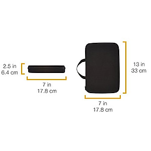 Amazon Basics Large Carrying Case for GoPro And Accessories - 13 x 9 x 2.5 Inches, Black