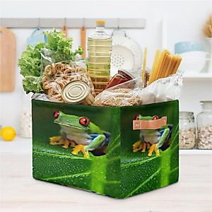 XMNYGJ Tree Frog Palm Leaf Storage Baskets Foldable Large Fabric Storage Bins for Organizing Toys, Clothes, Shelves, Closet, 15x11x9.5 Inches Storage Box with Handles 2-Pack