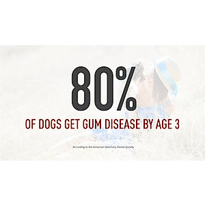 Dr Rose’s Gentle Earth Toothpaste for Pets | All Natural | Oganic | Veterinarian Formulated | Removes Tartar and improves Gum Health - 5oz Unflavored