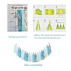 Qyeaber 20 pcs DIY Paper Tassel Tinsel Foil Tassel Party Garland, Silver/White/ Blue , Fringe Garland Banner for Wedding, Valentine's Day, Baby Shower,Birthday, Graduation, Event & Party Decorations