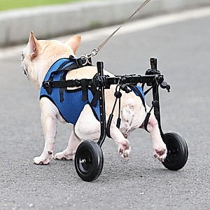 Dog Wheelchair for Back Legs(M), Adjustable Pets Cart with Wheels for Back Legs, Assist Small Pets with Paralyzed Disabled Hind Limbs to Recover Mobility, Dog Wheel Chair for Small Breed(12.1-22 LBS)