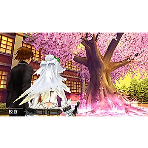 Fate/Extra CCC [Type Moon Virgin White Box] [Japan Import]