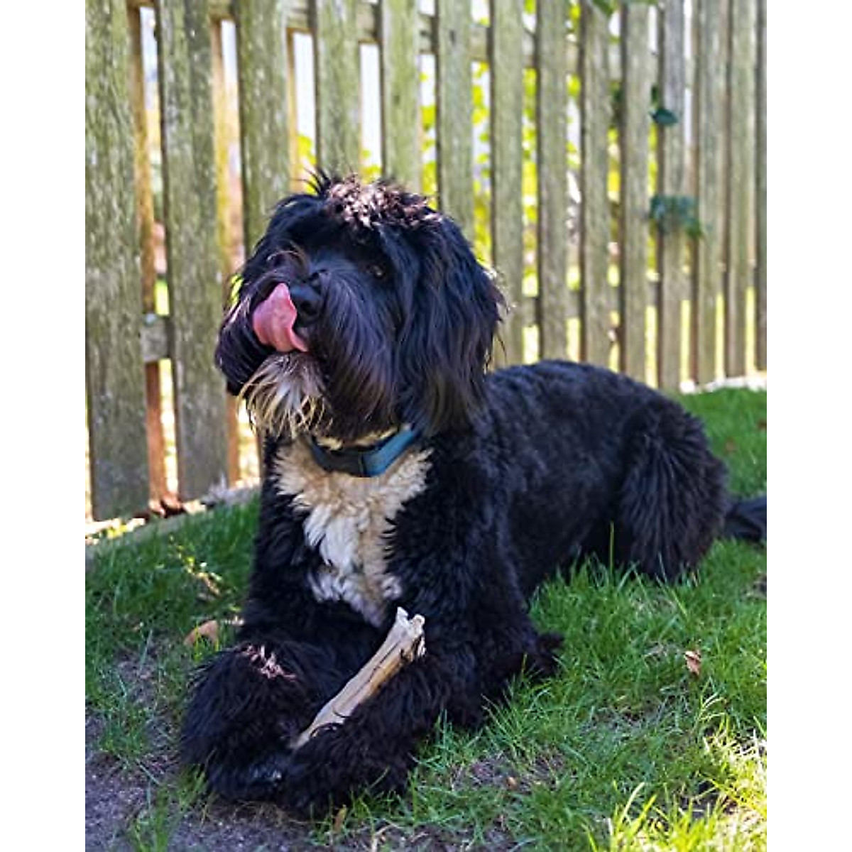 Cadet Premium Grade Pressed Beef Hide Bones 6.5 Inch, 12 Pack