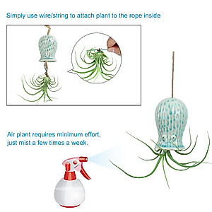 Mimeela 5 Pack Air Plant Holder Unique, Cute Octopus Air Plant Hanger Wall Planter, Ceramic Tillandsia Airplants Holders Hanging Wall Decor for Home Office (Small (2 x 3.2 in))