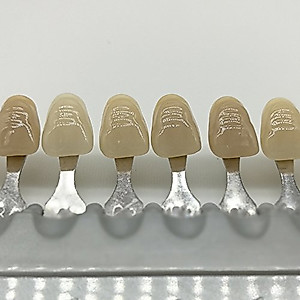 Plutusdental Shade Guide Porcelain Dental Dentist Materials 16 Colors Shade Guide Teeth, Dental Care And Teeth Whitening (Dental-16Color)