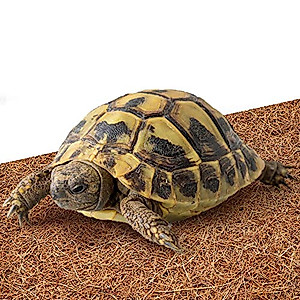 Meric Reptile Bed, Coco Fiber Mats for Pets, Terrarium Liner for Snakes, Chameleons, Geckos, Turtle, Climbing Carpet, 2-Pack