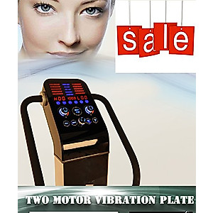 Dual Motor 1500w Professional Vibration Vibe Plate Exercise Fitness Machine