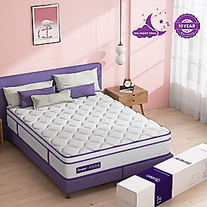 Sersper 8 Inch Memory Foam Hybrid Queen Mattress - 5-Zone Pocket Innersprings Motion Isolation - Heavier Coils for Durable Support -Pressure Relieving - Medium Firm - Made in North America