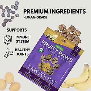 PawFoods Treats Fruity Paws - Organic Dog Treats Healthy, Low Calorie Puppy Treats for Joint and Hip Support, Tasty Natural Treats for All Dogs, Only 5 Cal, Approx. 60 per Bag - 170g - Made in USA
