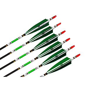 TTFLY FLETCHING 31 inch Carbon Arrows Green Turkey Feather Targeting Arrows Archery with Screw-in Field Tips Hunting&Practice(12 Pack)