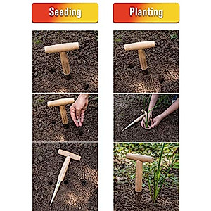 Hand Dibber with Wooden Handle, Chrome Coated Stainless Steel Head - Lightweight Sturdy Handy Seeding Garden Tool Kit for Sow Seeds (Dibber New)