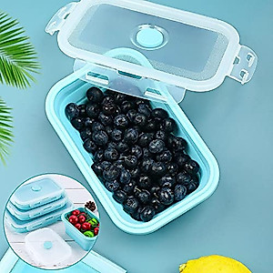 Collapsible Food Storage Containers with Lids - Silicone Container - Adjustable Food Storage Container - Bento Collapsable Lunch Box - Collapsible Camping Set - Collapsible Bowls with Lids - Meal Prep Containers Reusable - Travel Food Containers Set of 4