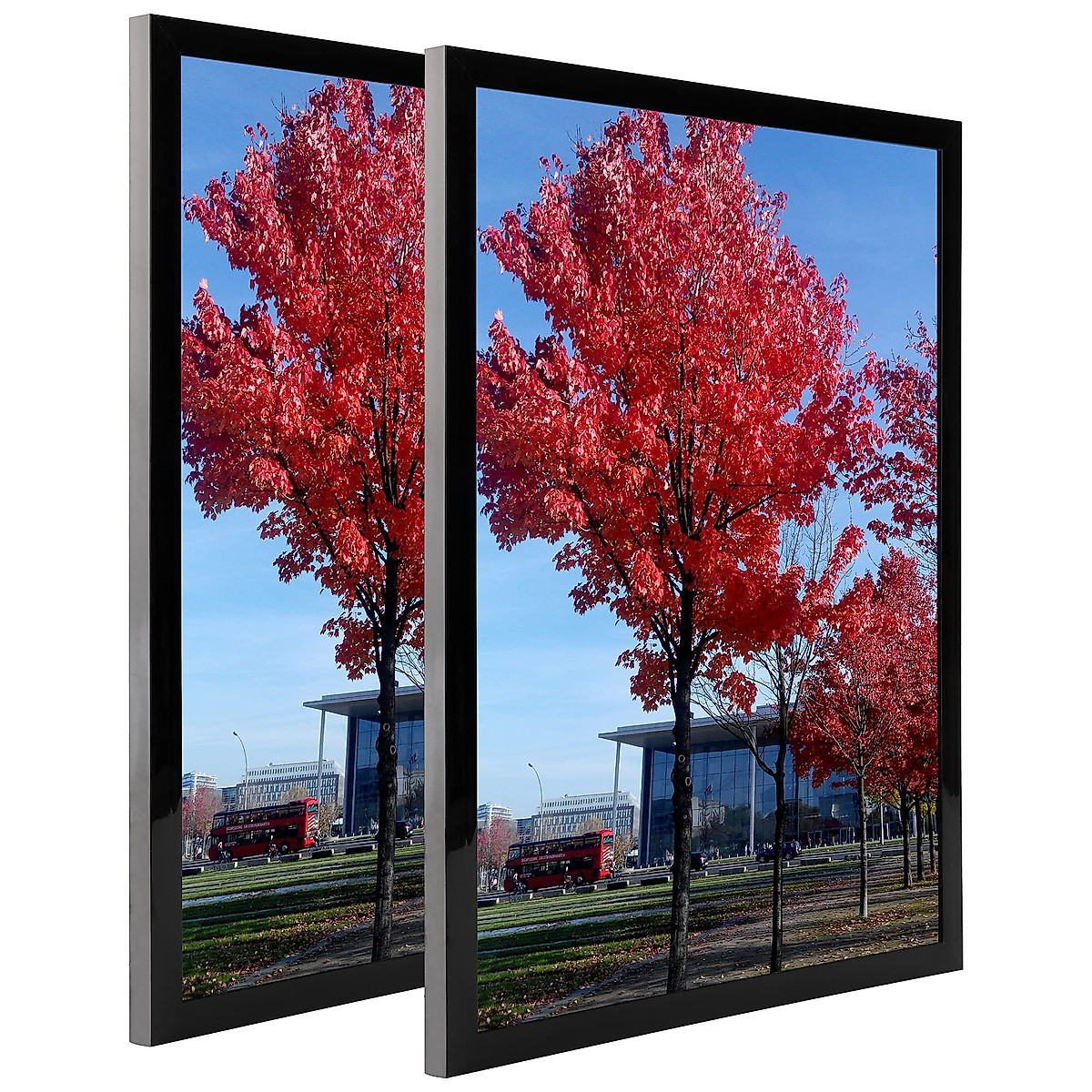 Medog 11x14 Document Frame, Diploma Certificate Frame, Display Pictures 11x14 Picture Frame Black, 2 Pack